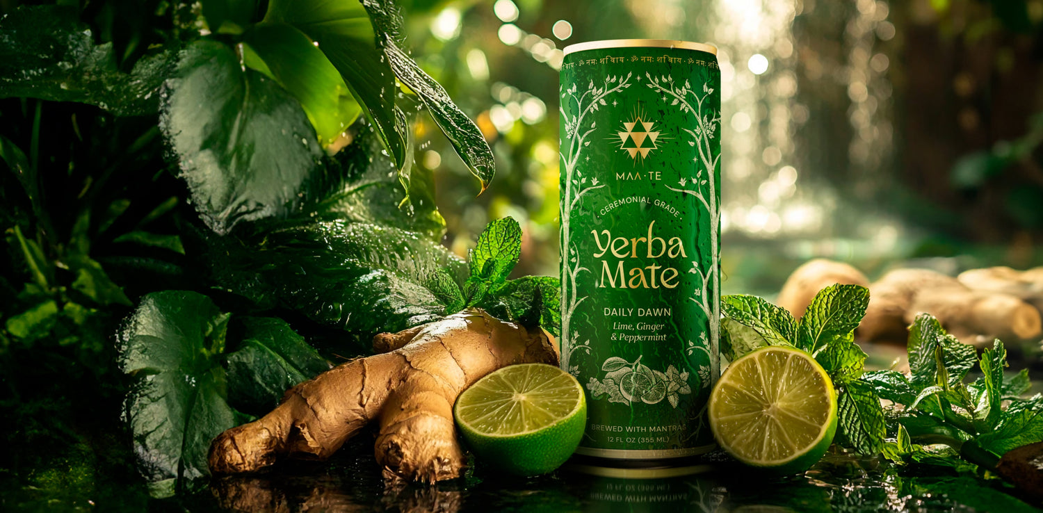 MAA • TE | Ceremonial-Grade Yerba Mate Drinks for Calm Energy